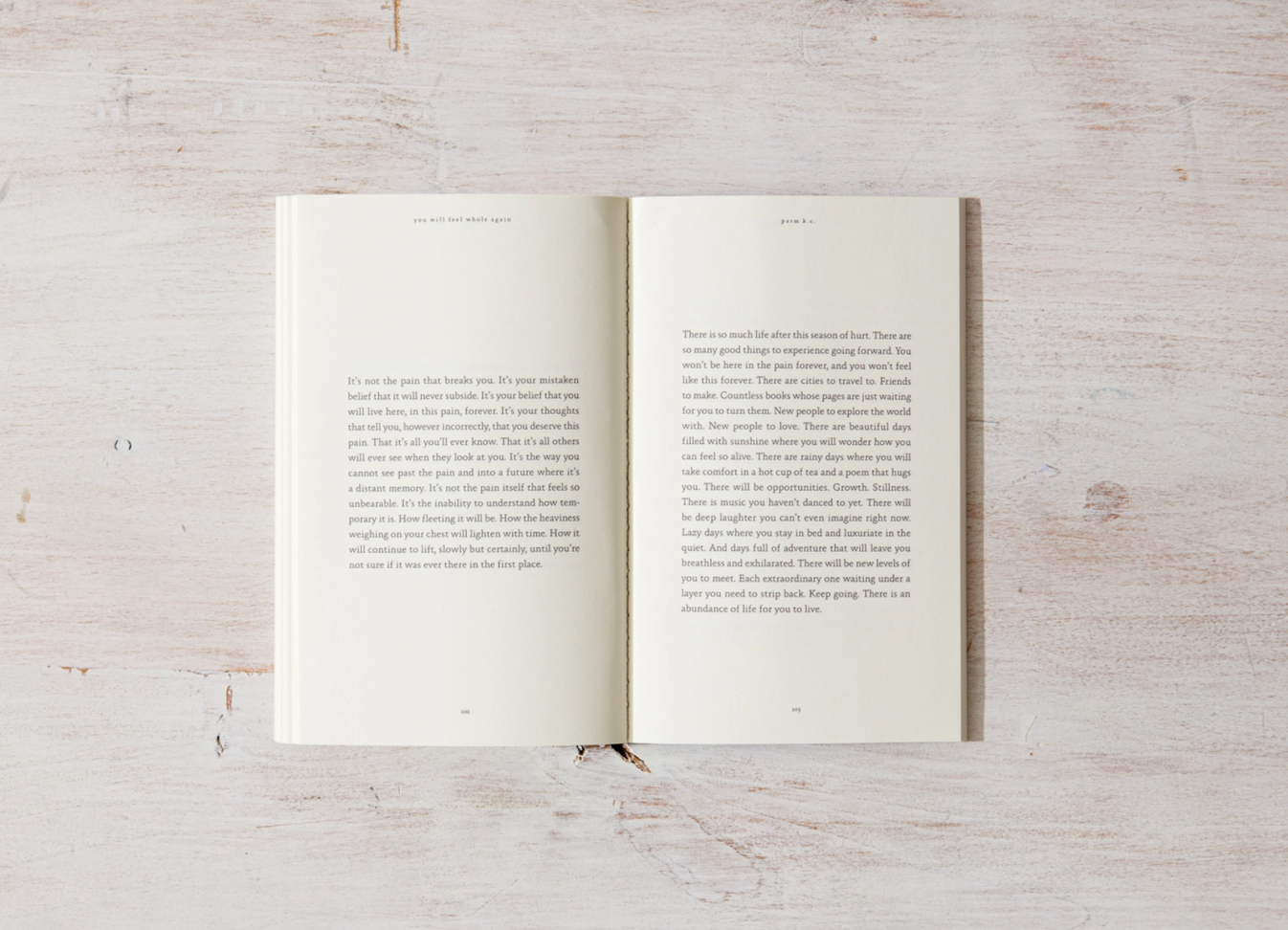 You Will Feel Whole Again ️‍🩹 book by Parm K.C. – Inner Sanctum